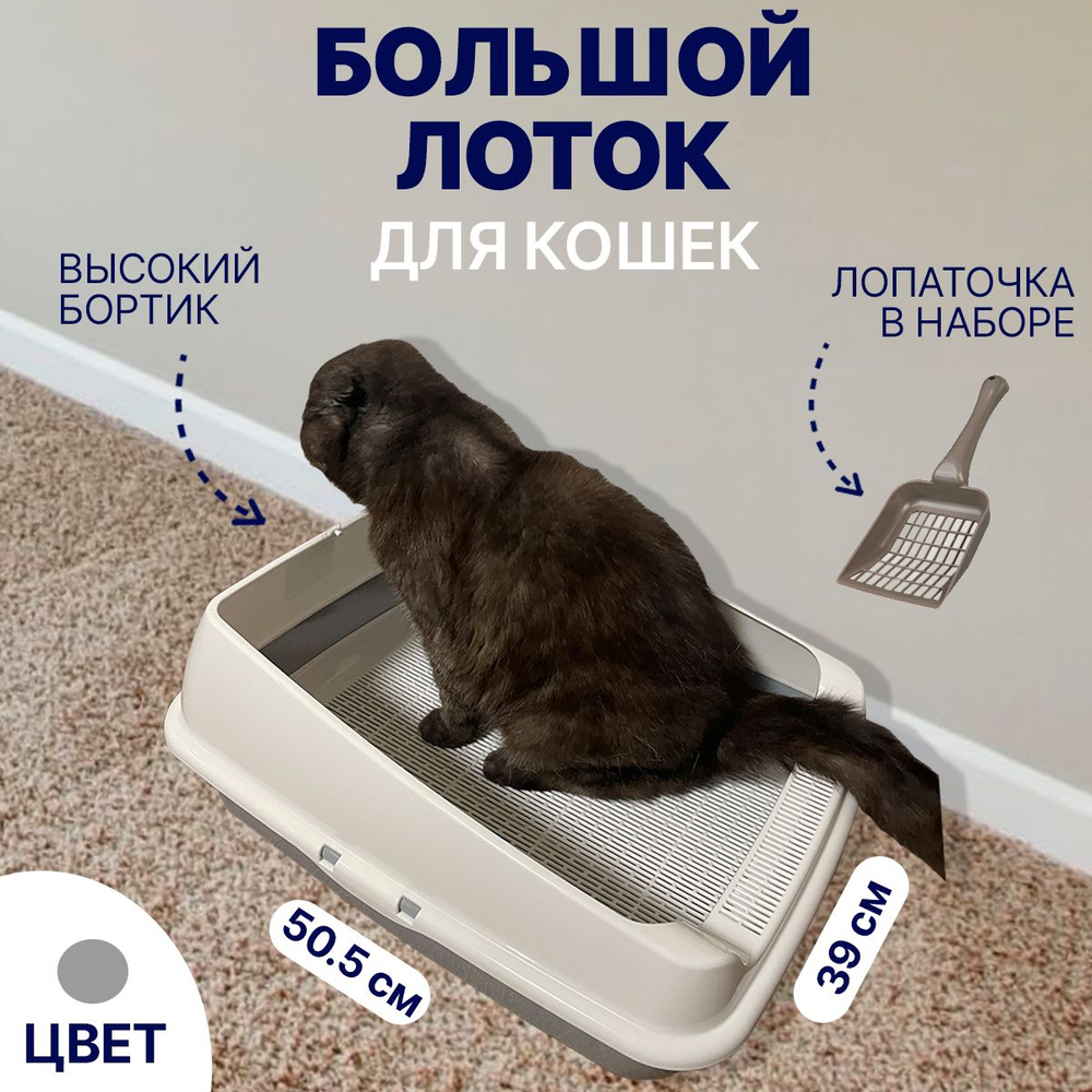 Лоток для кошек большой кошачий туалет с совком высокими бортами и