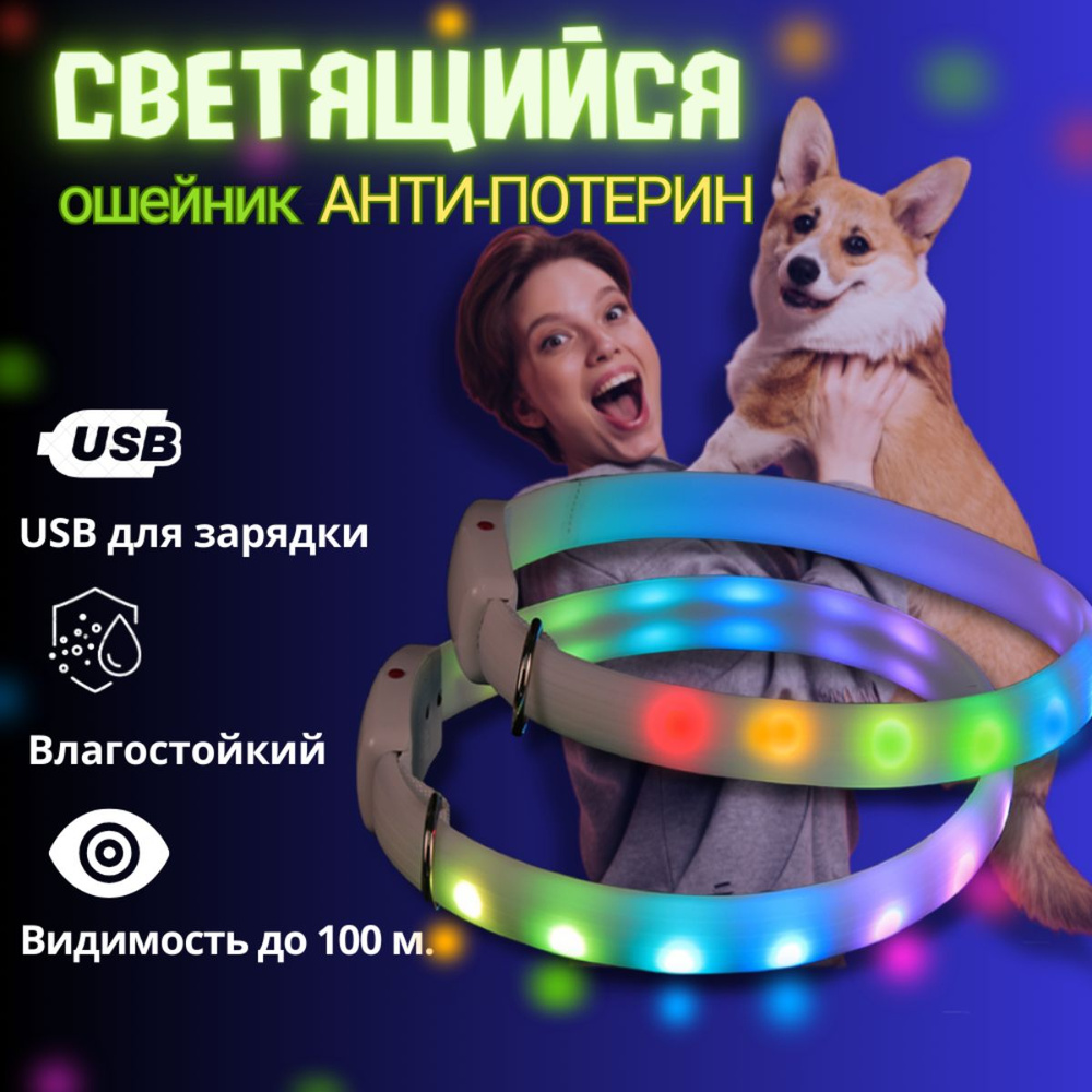 Ошейник светящийся регулируемый для собак мелких средних и крупных