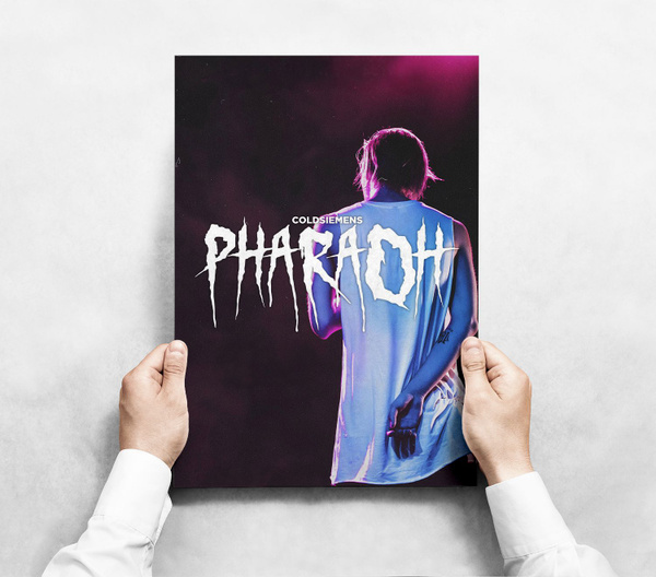 Постер SK-Poster, 48 33 купить c доставкой на OZON по низкой цене ...