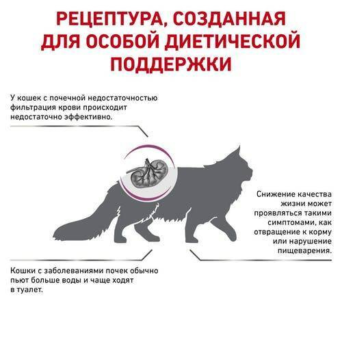 Royal Canin Renal Select (Роял Канин Ренал Селект со вкусом свинины и ...