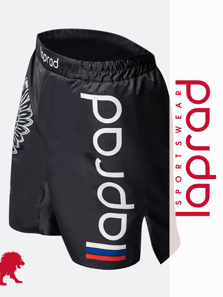 Шорты Laprad, мужские, спортивные, серые, из полиэстера, Россия, 46 ...