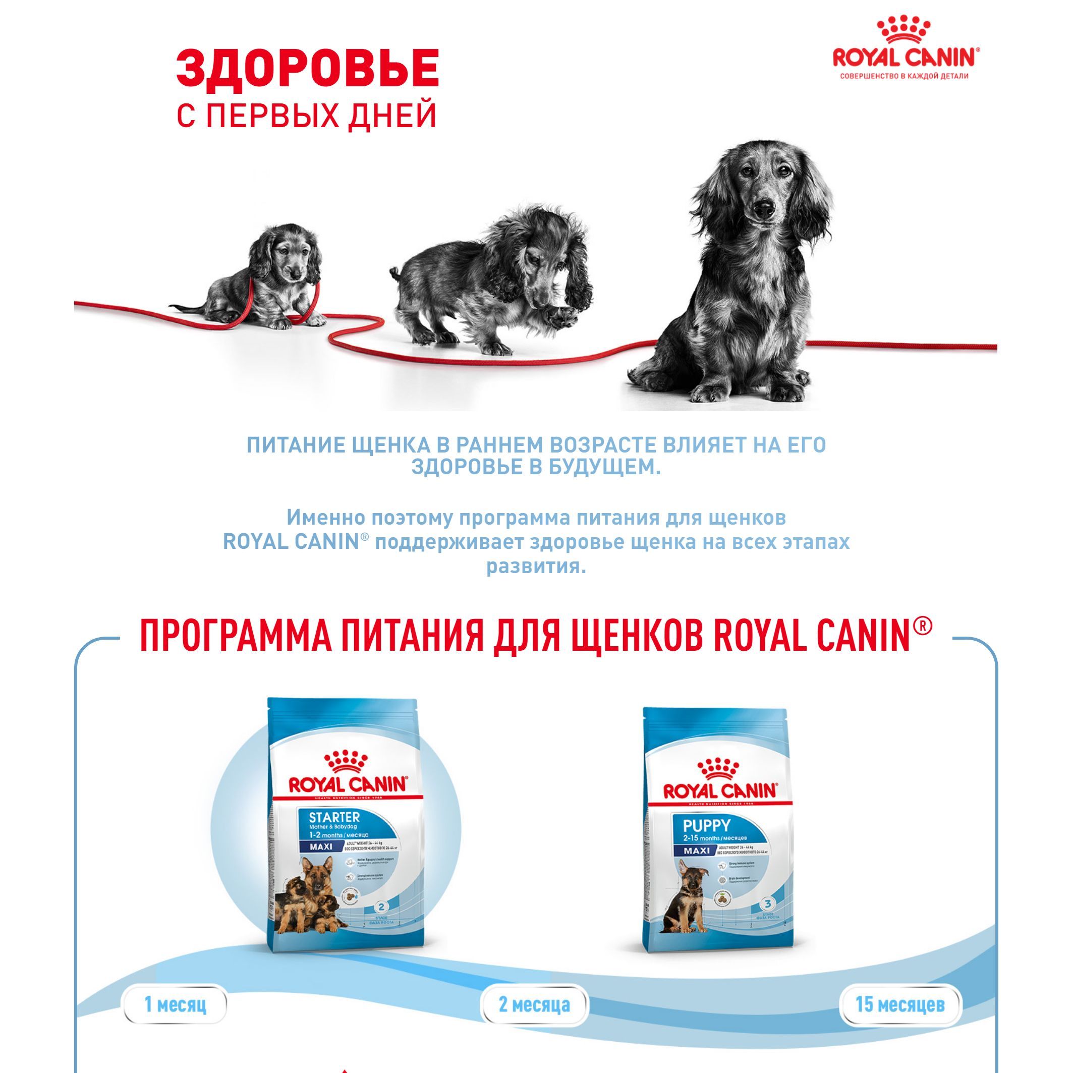 Royal Canin Maxi Starter (Роял Канин Макси Стартер со вкусом птицы ...