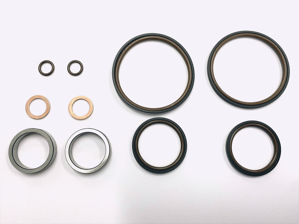 Ремкомплект двойного Ваноса (Double Vanos) BMW M52TU, M54, M56 - Bersa ...