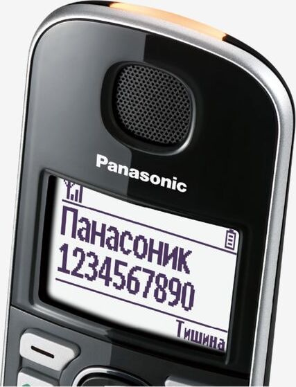Радиотелефон Panasonic KX-TGE510RUS, серый - купить с доставкой по ...