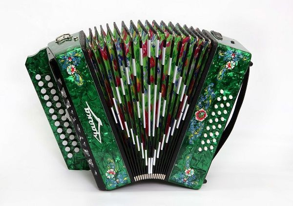 Гармонь шуйская S5XL "Чайка-314" - купить с доставкой по выгодным ценам в интернет-магазине OZON ...