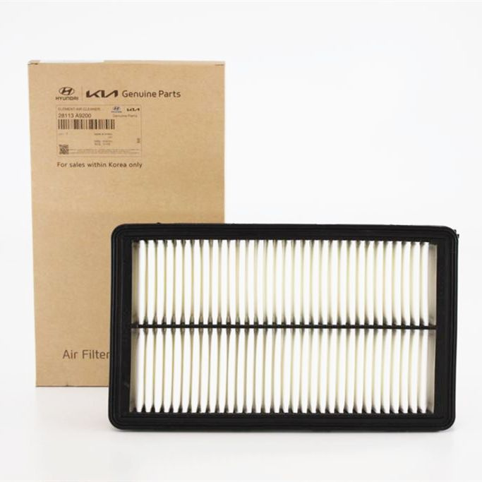 Фильтр воздушный Hyundai-KIA 28113-A9200 - купить по выгодным ценам в ...