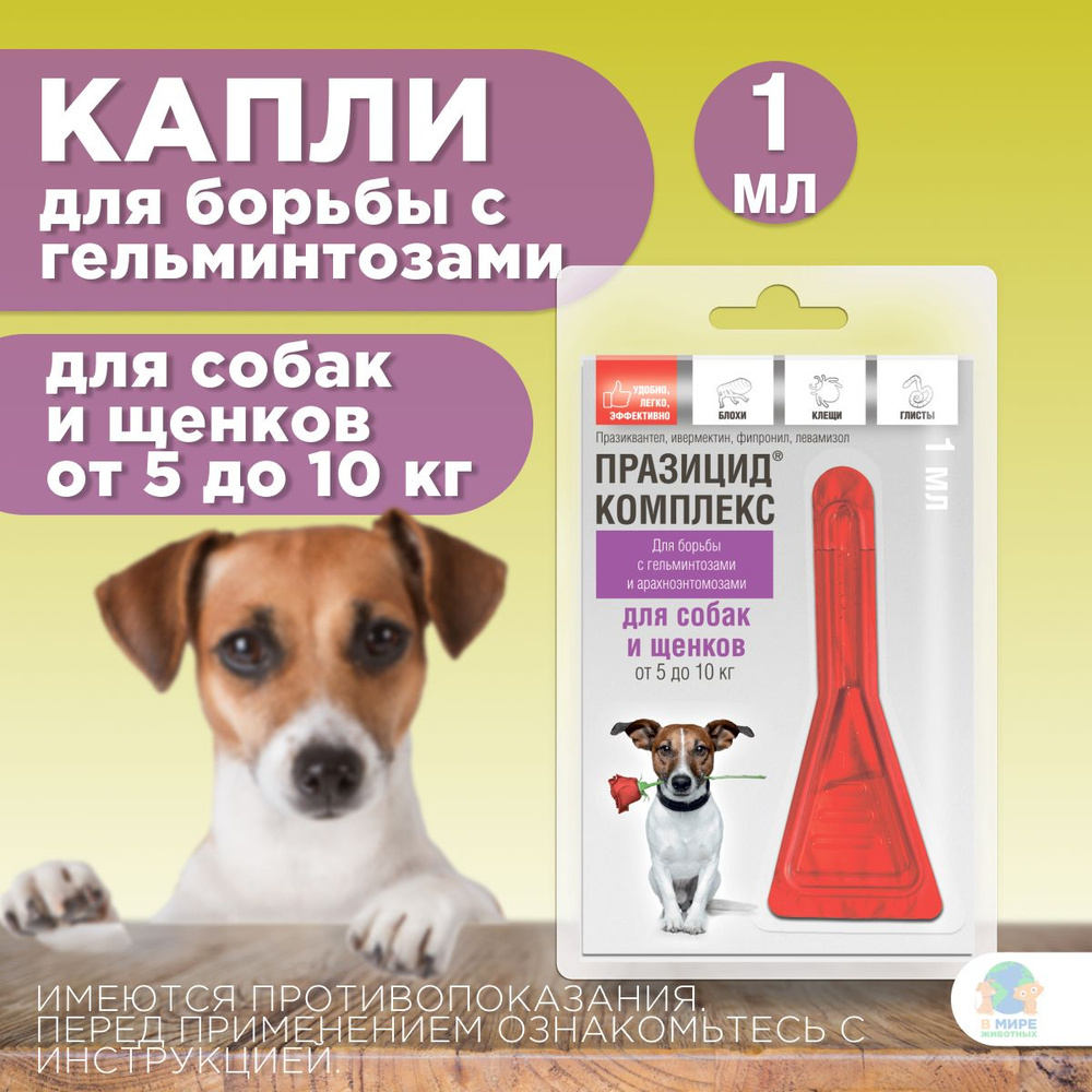 Празицид-комплекс для собак и щенков от 5 до 10 кг, капли на холку, 1,0 ...