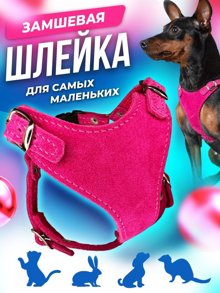 Анатомическая прогулочная шлейка Dober-Крут для собак мелких пород ...