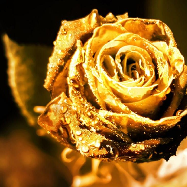 Lattafa Perfumes Духи Lattafa Ramz Lattafa Gold 100 мл купить на OZON ...