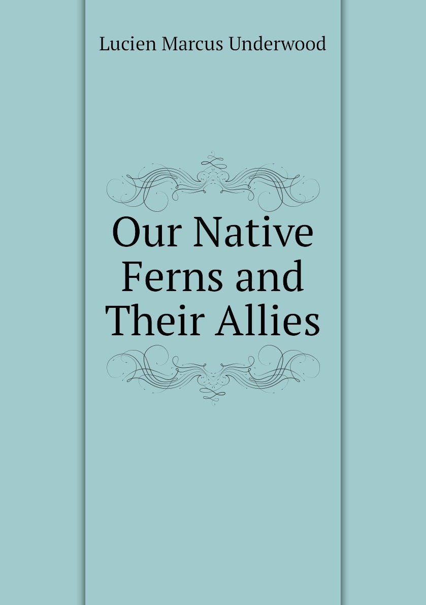 Our Native Ferns and Their Allies купить на OZON по низкой цене (156382763)