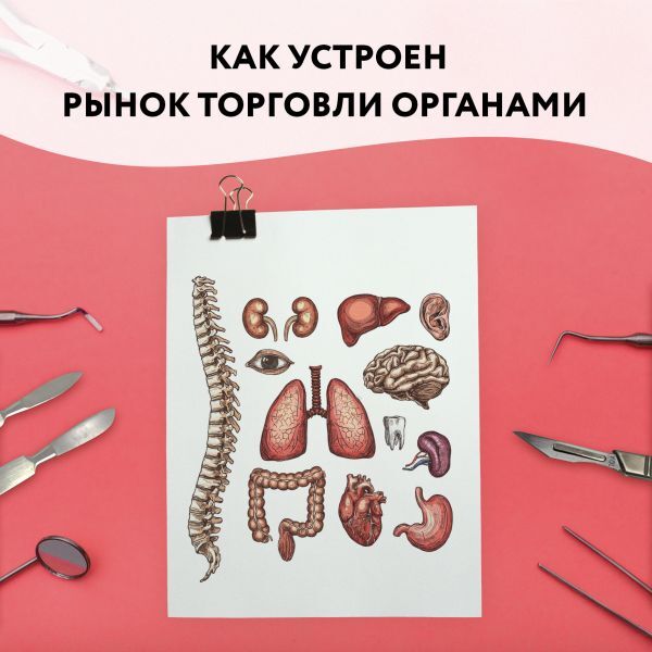 Красный рынок: как устроена торговля всем, из чего состоит человек ...