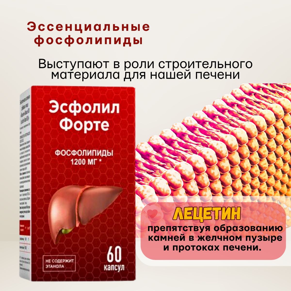 Эсфолил форте 60 капсул - купить с доставкой по выгодным ценам в ...