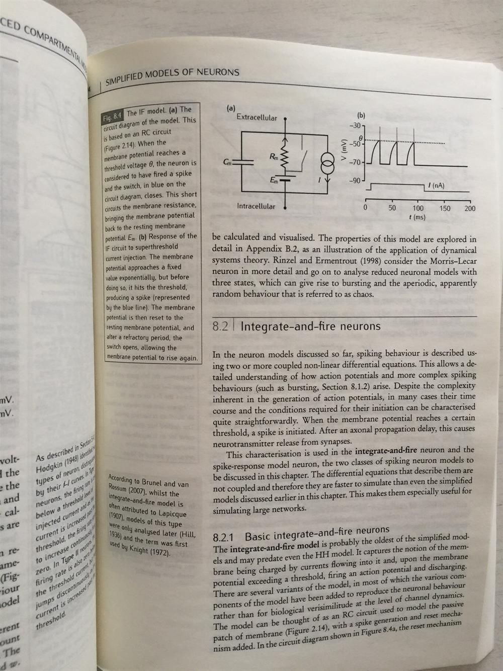 Учебники Principles Of Computational Modelling In Neuroscience купить