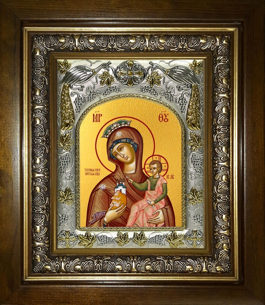 Икона Тучная Гора Божией Матери - купить по низким ценам в интернет ...