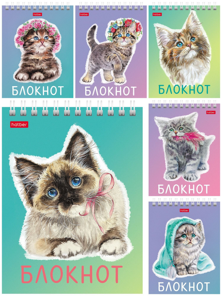 Набор блокнотов Hatber 40 листов, формата А6, в клетку, 65 г/кв. м, на гребне, ультрафиолетовый ...