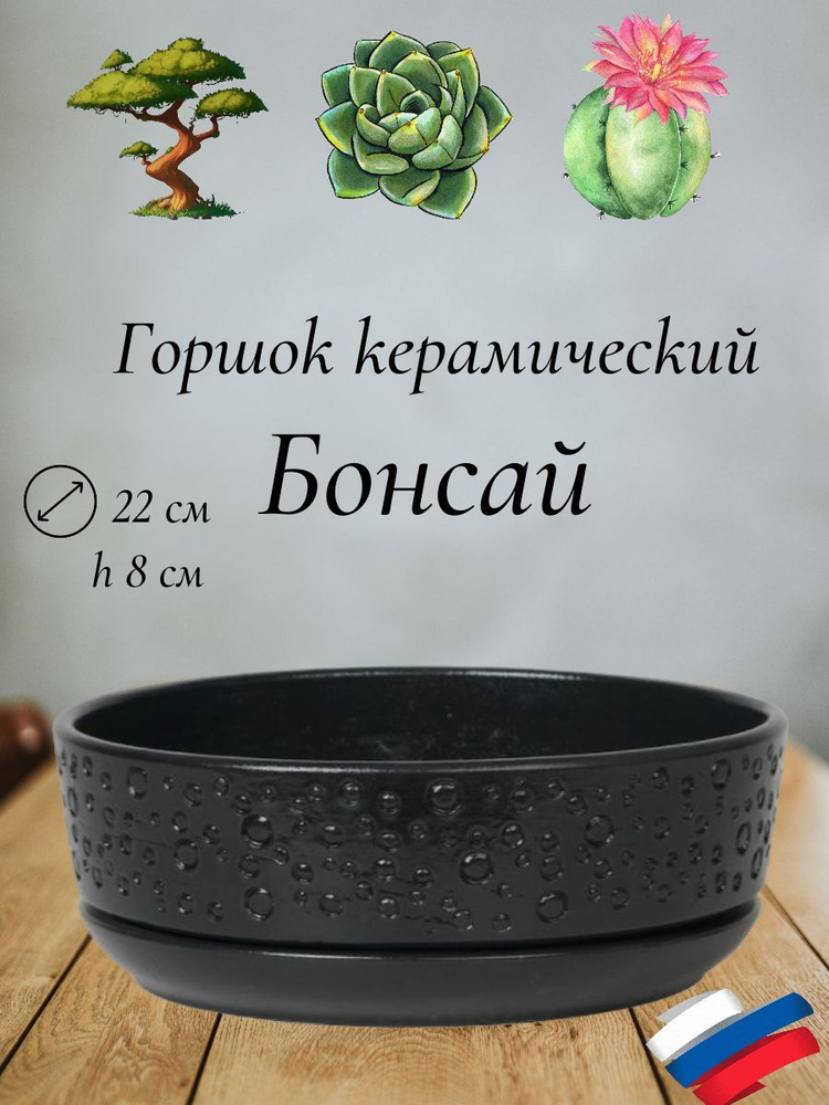 Керамический горшок "Бонсай" для бонсай, кактусов и суккулентов ...