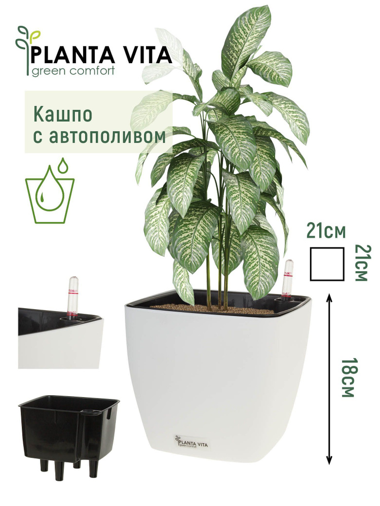 Кашпо для цветов суккулентов кактусов с автополивом пластиковое PLANTA ...