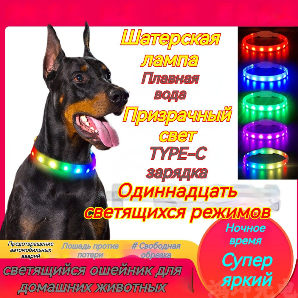 TWOFOX Ошейник светящийся регулируемый для собак мелких, средних и ...