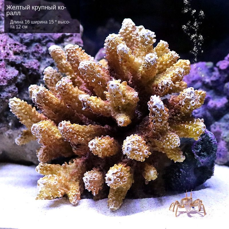 Декорация для аквариума/Кораллы - купить с доставкой по выгодным ценам ...