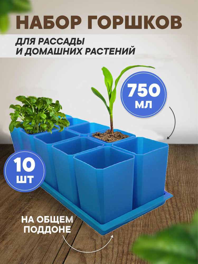 Горшки для рассады и цветов, набор из 10 горшков по 750 мл и поддона ...