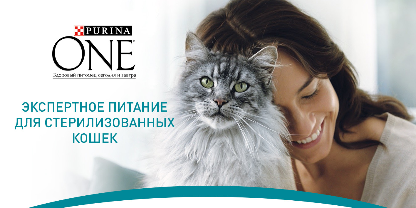 Сухой корм для кошек Purina ONE для стерилизованных, с лососем и ...
