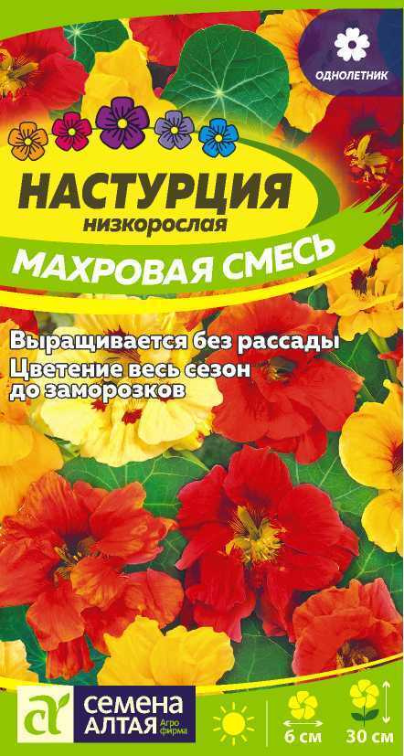 Настурции, Однолетние декоративные травы Семена Алтая Настурция ...
