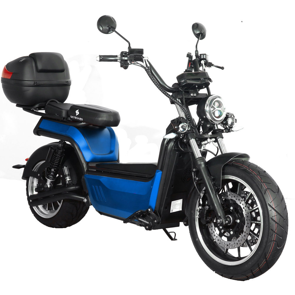 Электроскутер Skyboard BR100-5000 BLUE (Amur), 63v/50ah купить на OZON по низкой цене (906653282)