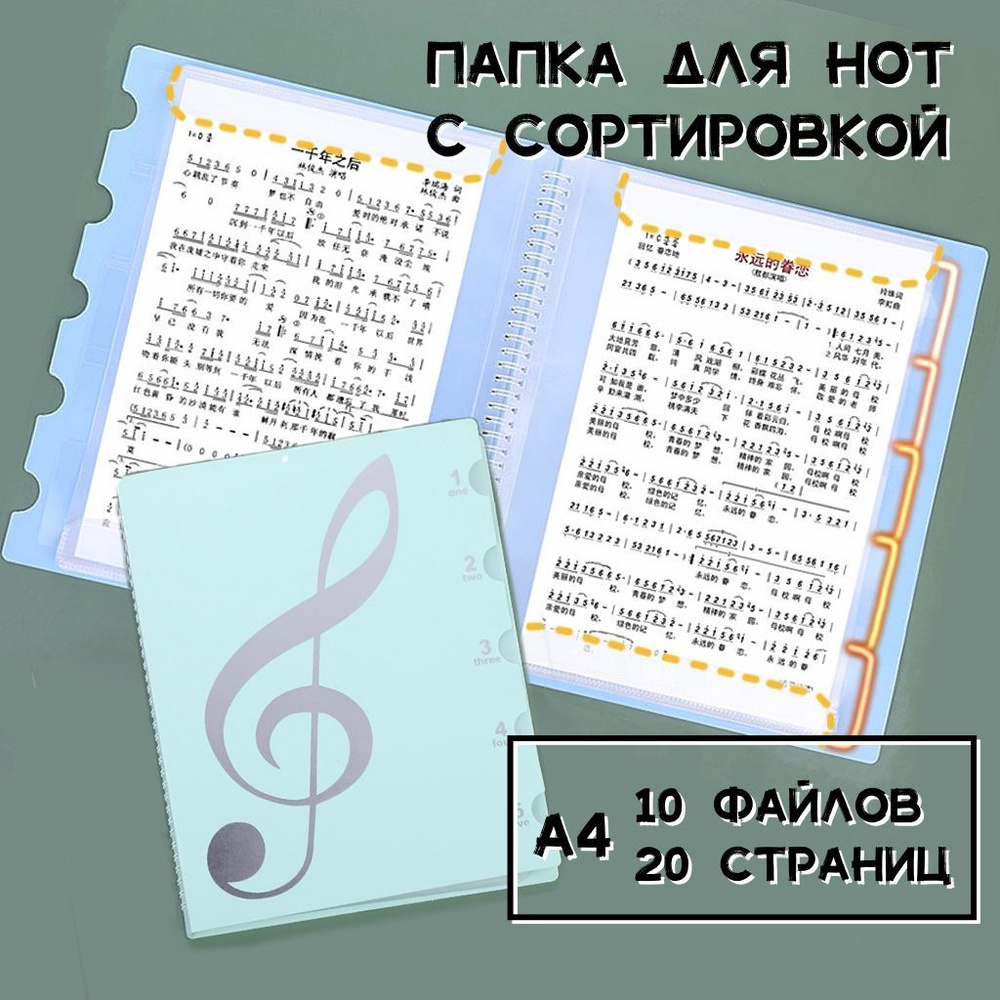 Профессиональная папка для нот с сортировкой - купить с доставкой по ...