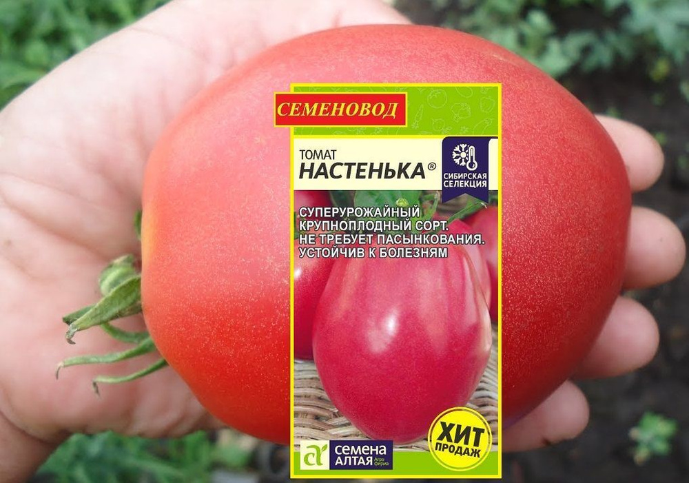 Томаты Семена Алтая Алтай - купить по выгодным ценам в интернет ...