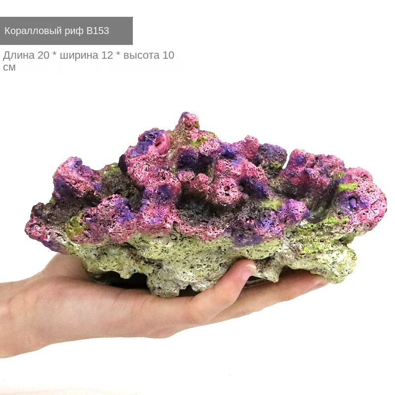 Декорация для аквариума/Кораллы - купить с доставкой по выгодным ценам ...