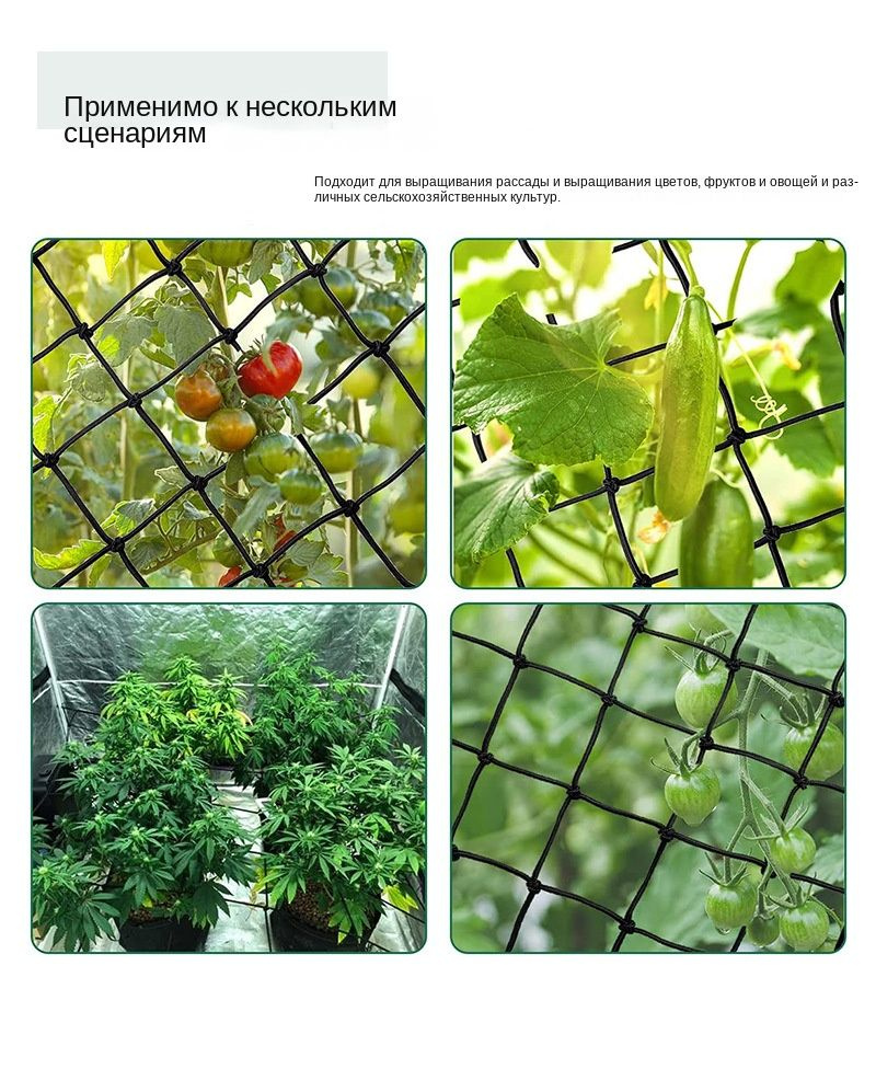 Комплект для ухода за растениями купить на OZON по низкой цене (1365153859)