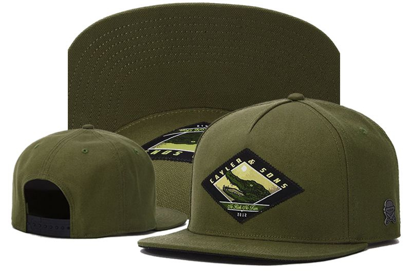 Бейсболка CAYLER & SONS купить на OZON по низкой цене (1578064269)