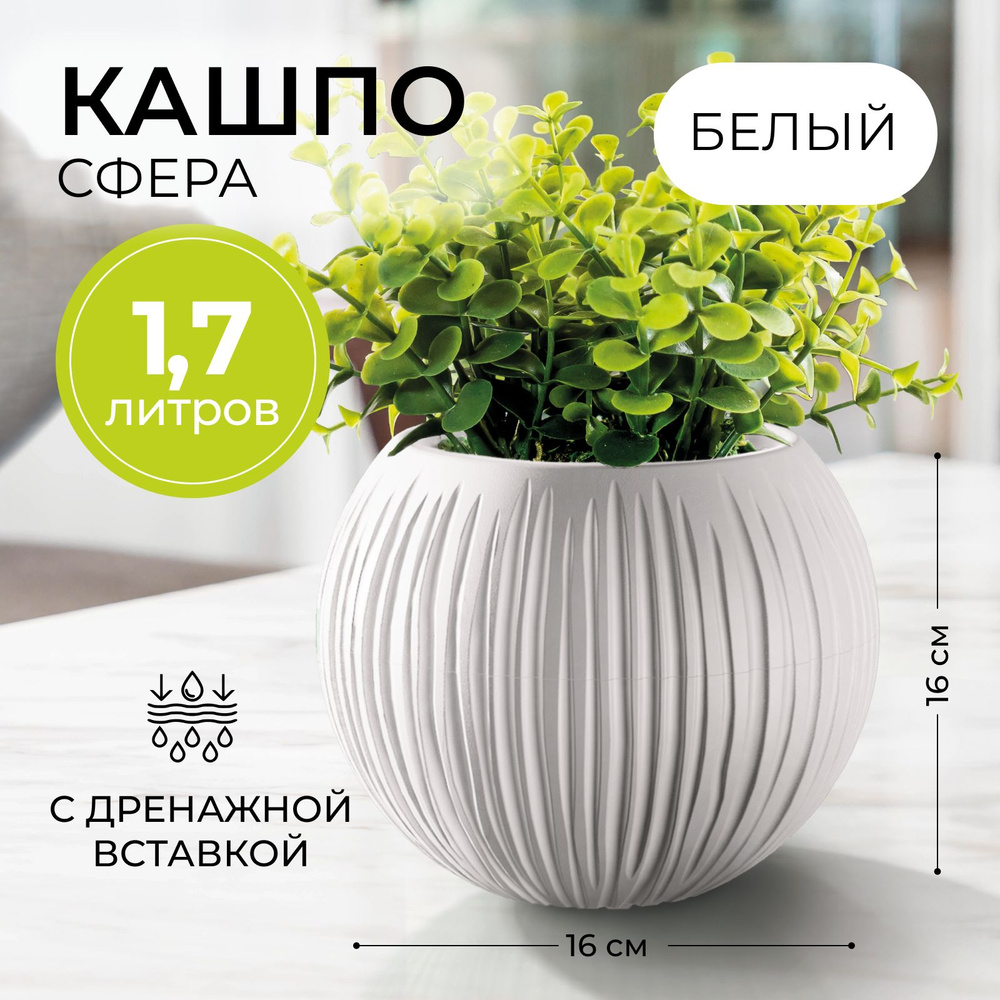 Кашпо для цветов, суккулентов, кактусов , горшок для растений. - купить ...