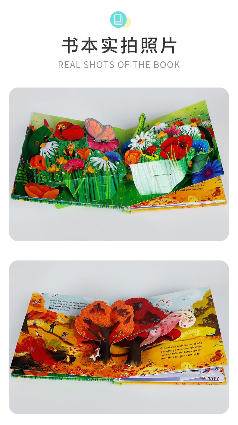 Usborne Pop-up Seasons Children's Fun 3D Visual Stereoscopic Book ...