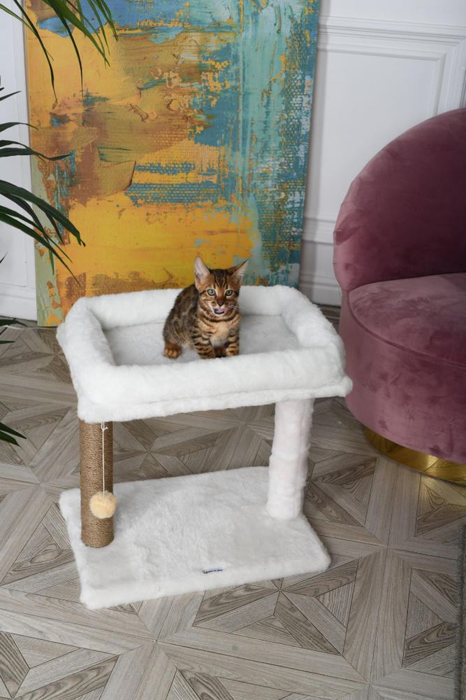 Когтеточка для кошек "Вау Биг" БРИСИ, 50х35х62 см / напольная с лежаком ...