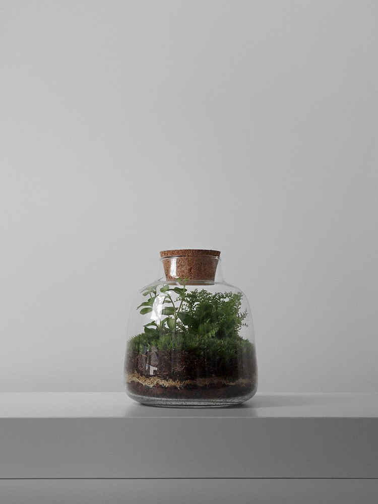 Экосистема Vase S флорариум стеклянный / экосистема HEIS - купить с ...
