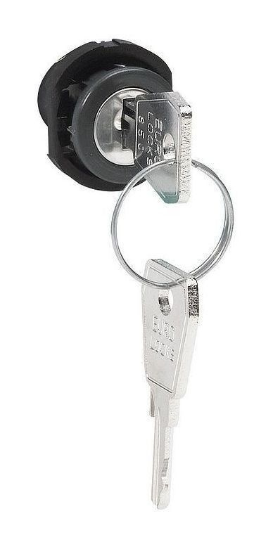 Замок с двумя ключами для шкафов Legrand 01766 01766 - купить по ...