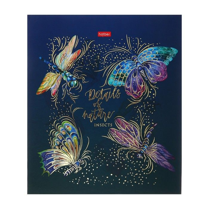 LISIK. Папка, 1 шт. - купить с доставкой по выгодным ценам в интернет-магазине OZON (1512165862)