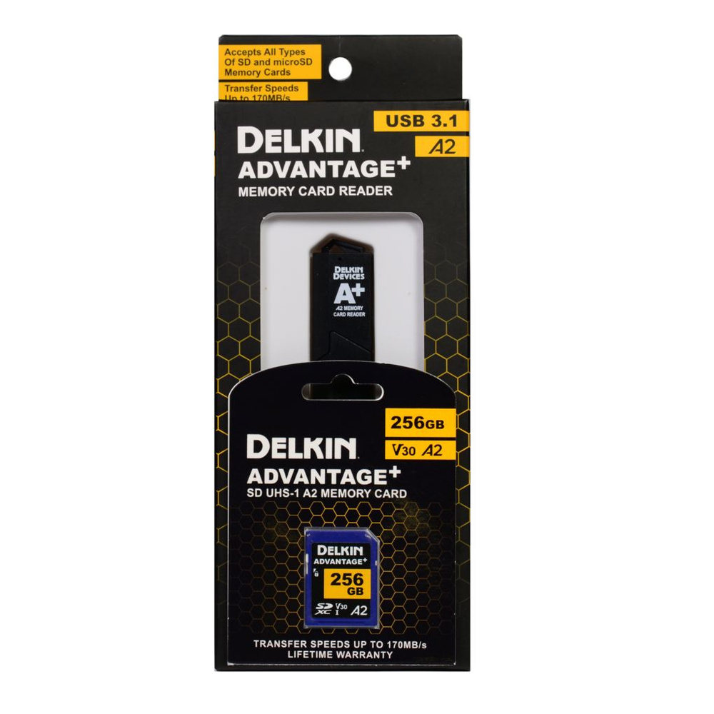 Карта памяти Delkin Devices 256 ГБ (DSDWA2256R) - купить с доставкой по ...