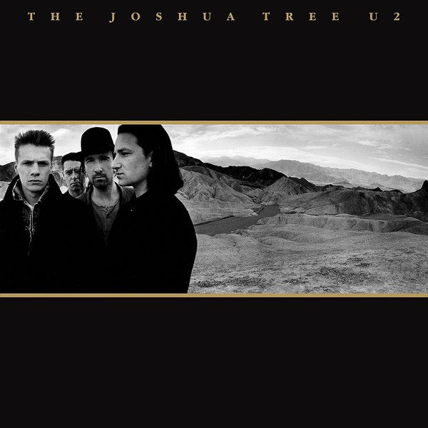 Виниловая пластинка U2 - The Joshua Tree (5749844) купить на OZON по низкой цене (2129679738)