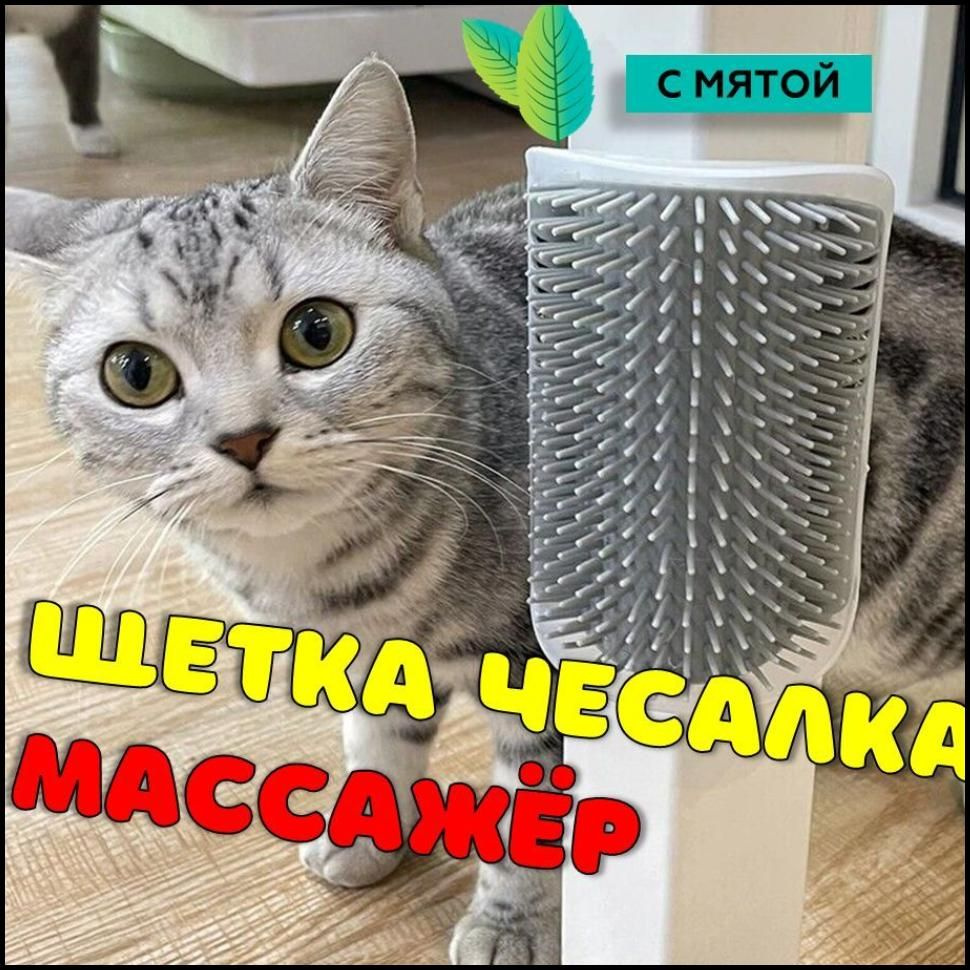 Чесалка для кошек угловая с кошачьей мятой, щетка для кошек, массажер ...