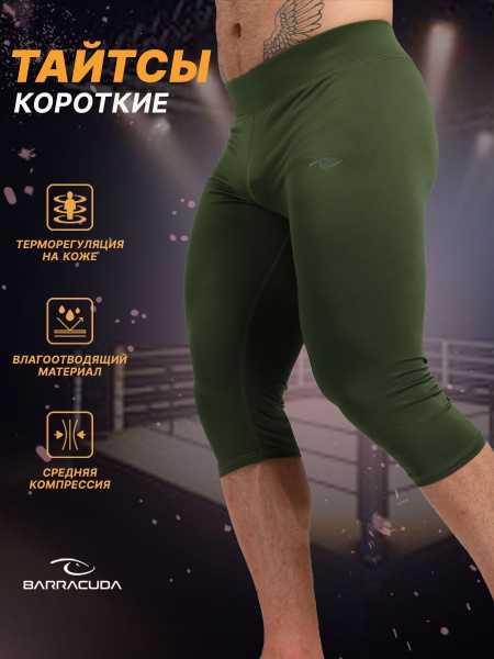 Тайтсы Barracuda COMPRESSION купить на OZON по низкой цене (1191322421)
