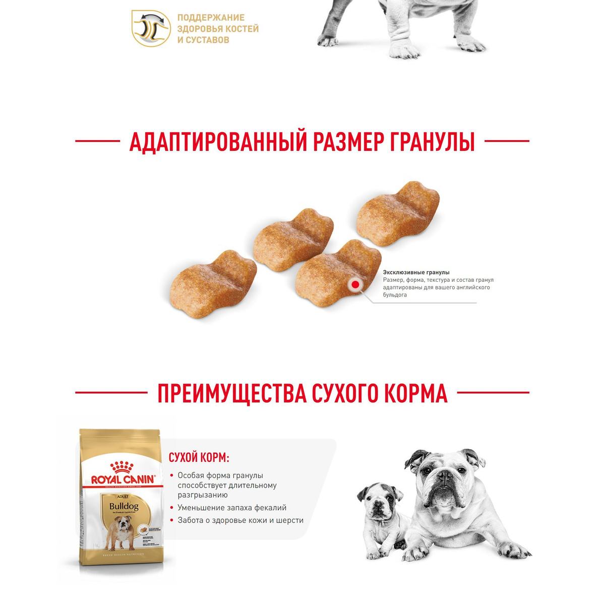 Royal Canin Bulldog Adult (Роял Канин Эдалт со вкусом мяса) корм для ...