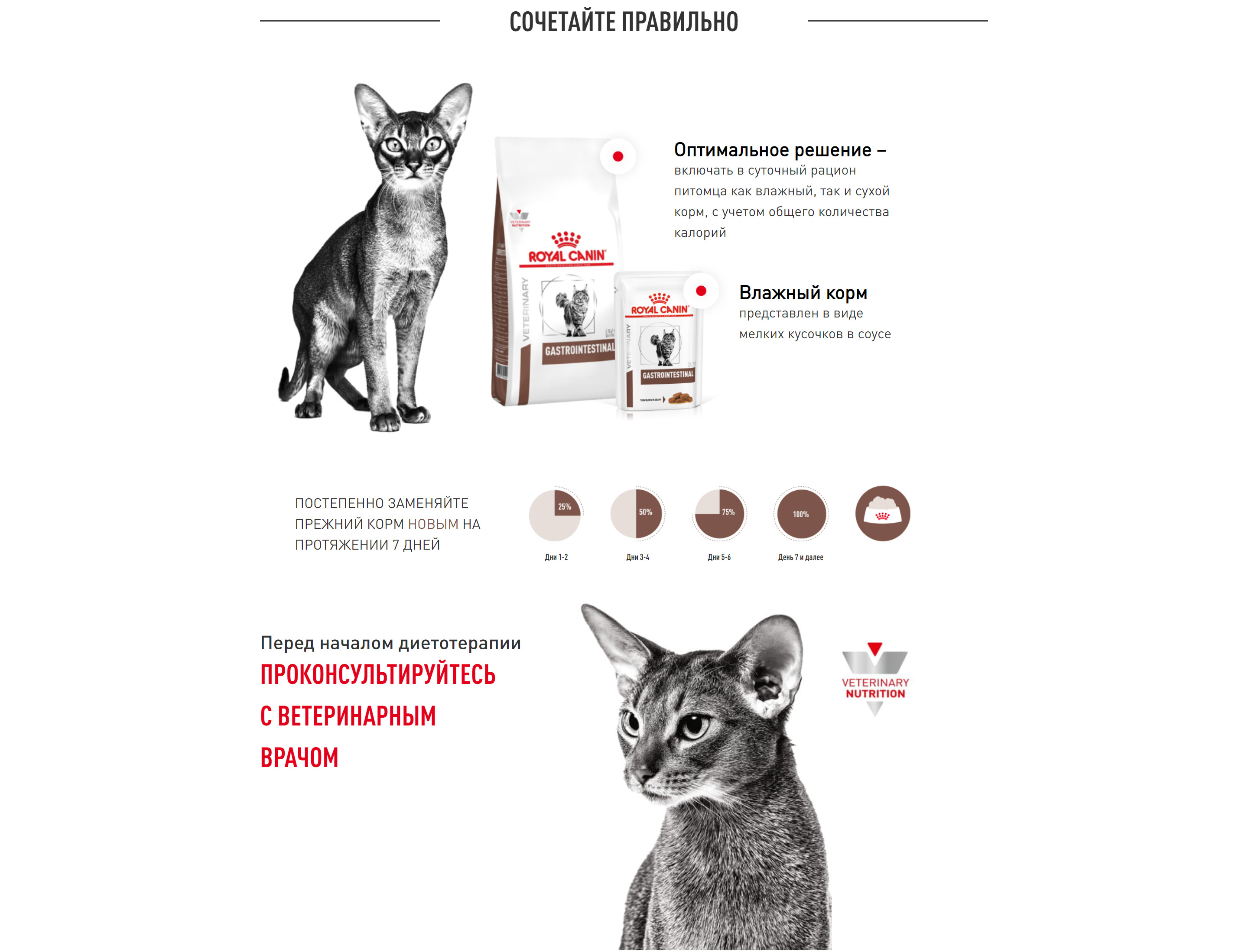 Royal Canin Gastrointestinal / Ветеринарный сухой корм Роял Канин ...
