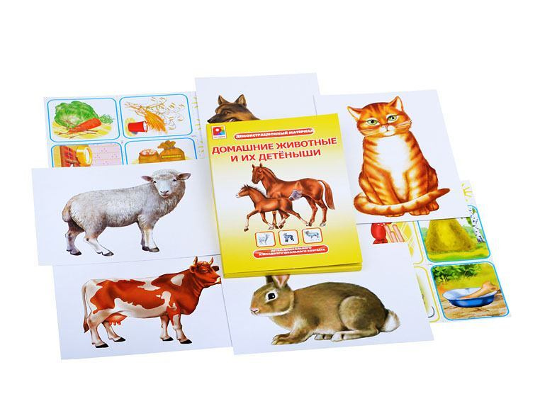 Настольная игра Радуга Домашние животные и их детеныши (с-962) - купить ...