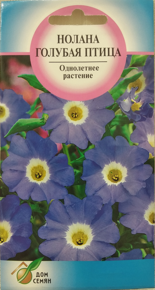 Декоративные разные, Однолетние декоративные травы Дом Семян Нолана ...