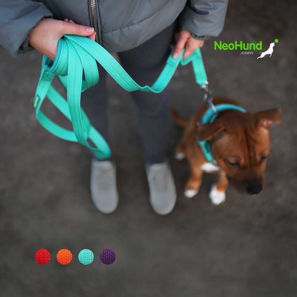 Поводок NeoHund для собак крупных и средних пород, с усиленным ...