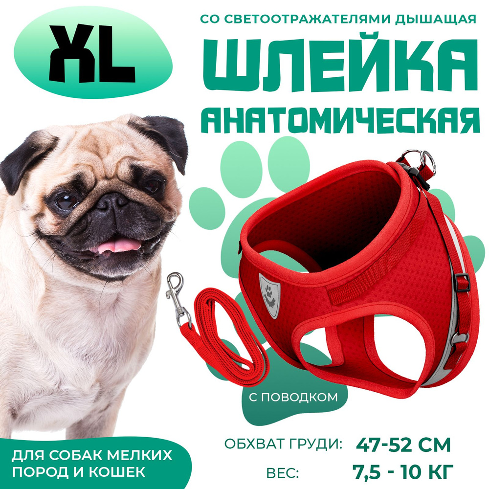 Шлейка для собак и кошек для мелких и средних пород с поводком ...