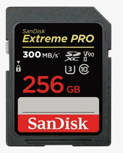 Карта памяти SanDisk Extreme PRO SDXC 256 ГБ UHS-II, V90, U3. купить на OZON по низкой цене ...
