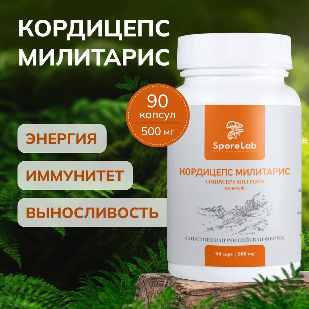 Кордицепс Милитарис (Cordyceps Militaris) молотый в капсулах 90 капсул ...